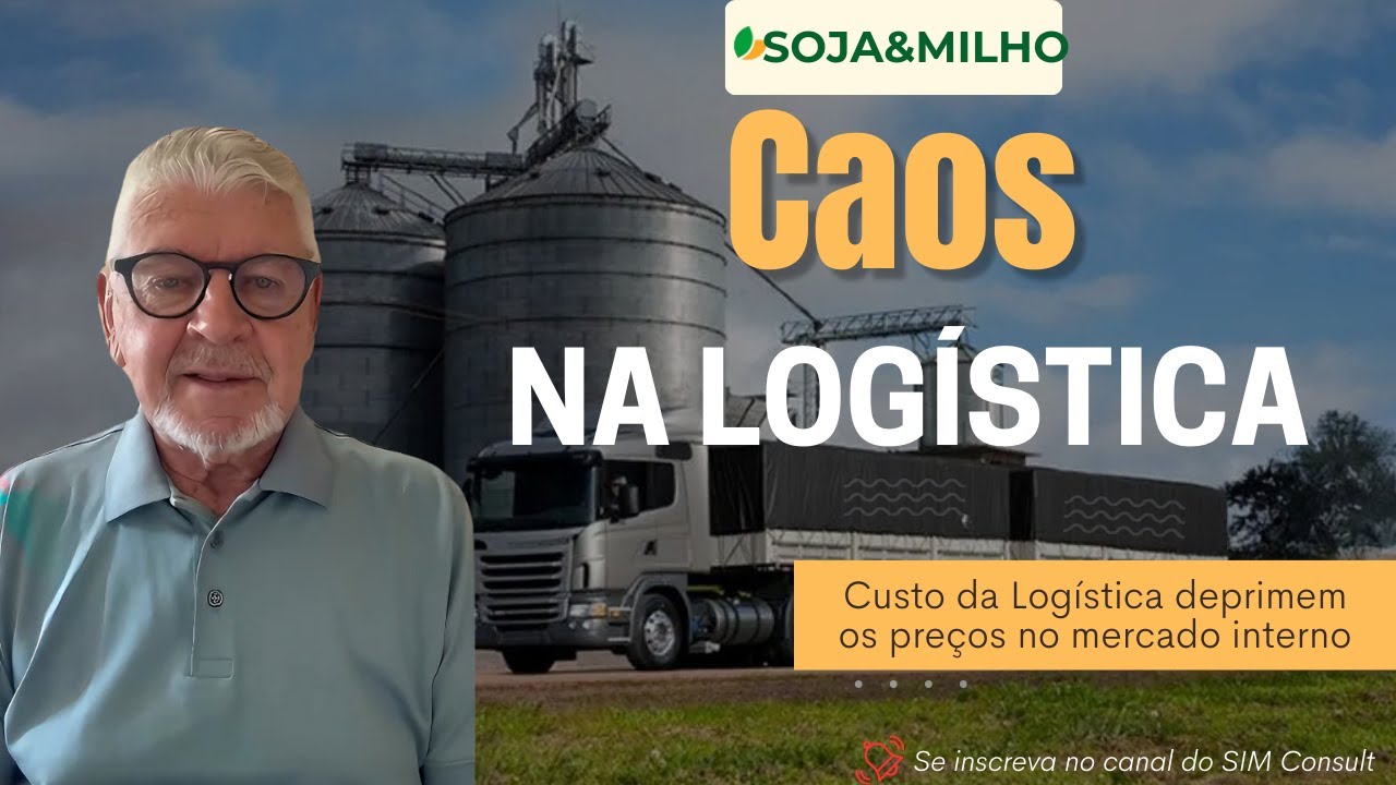 SOJA & MILHO | Custo da Logística deprimem os preços no mercado interno ...