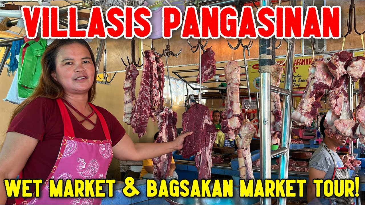 Palengke Tour in VILLASIS PANGASINAN | Food Market Visit Around The WET ...