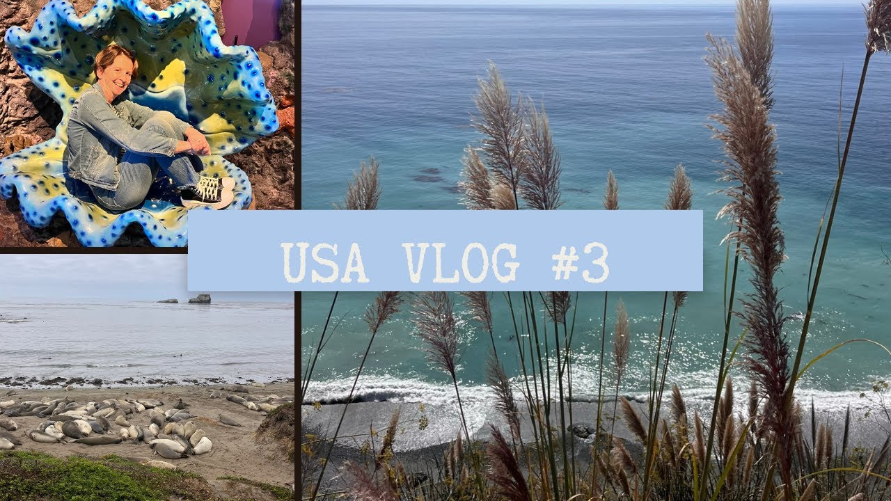 vlog usa - 3 - YouTube