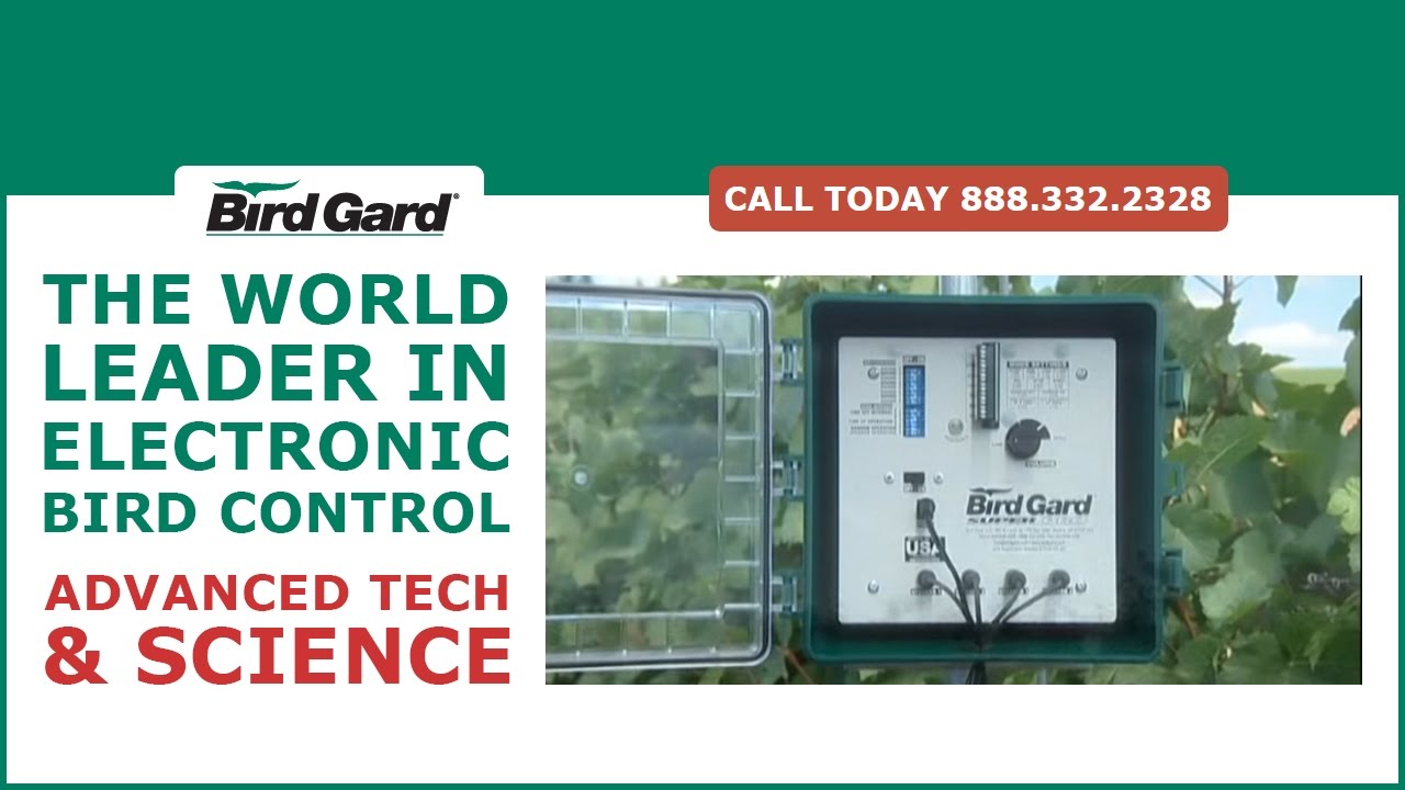 Bird Gard | Advanced Bird Control Technology & Science - YouTube