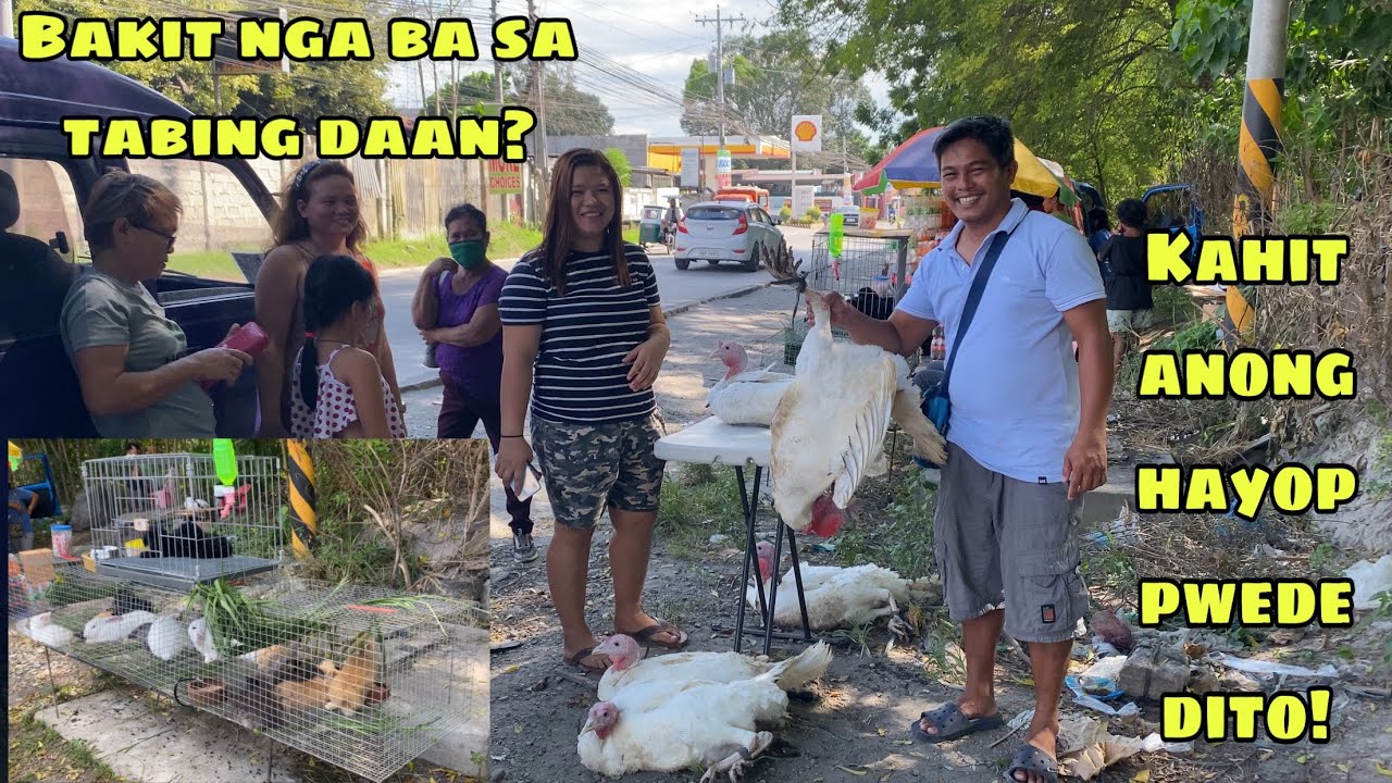 BAKIT SA TABING DAAN PINAKABEST MAGBENTA? KAHIT ANONG HAYOP PWEDE DITO ...