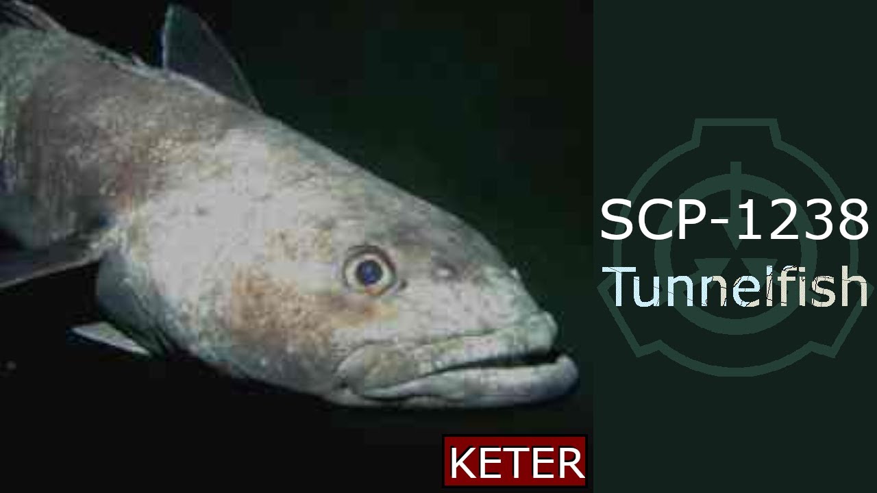 SCP-1238 | Tunnelfish - YouTube