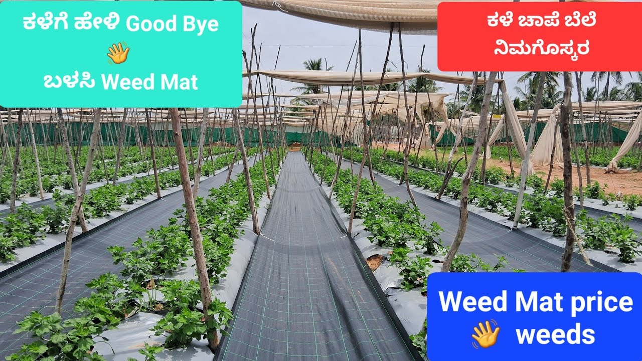 Weed Mat ಬೆಲೆ ಮತ್ತು ಉದ್ದ, ಅಗಲದ ಬಗ್ಗೆ ಮಾಹಿತಿ | info about weed mat price ...