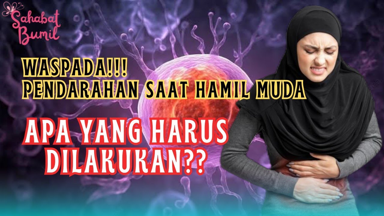 Minggu Ketiga Kehamilan: 7 Penyebab Pendarahan Saat Hamil Muda: Apa ...