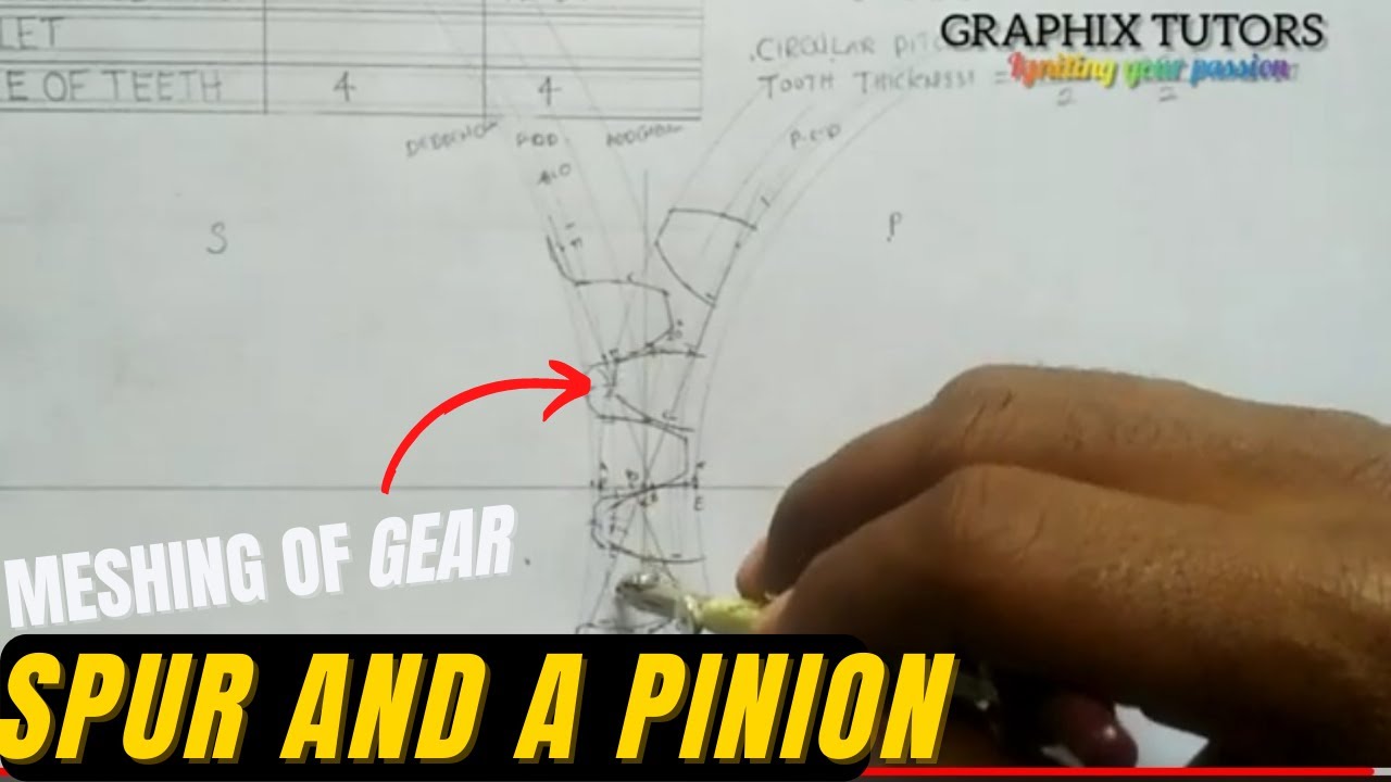meshing gear (Involute spur gear and pinion gear) ( technical drawing ...