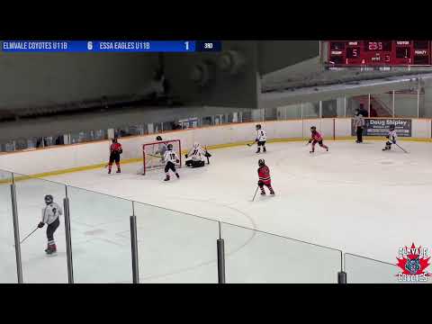 Elmvale Coyotes U11B vs Essa Eagles U11B (Live) - YouTube