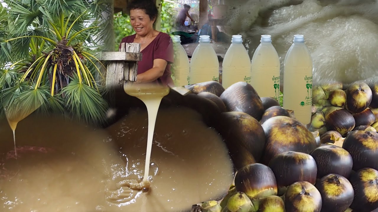 Palm fruit is good for eating and cooking / Palm fruit recipe / Cooking ...