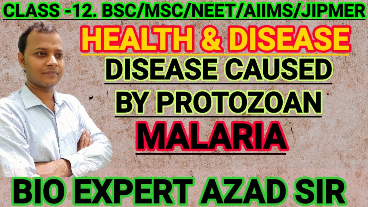 MALARIA CLASS 12 BSC ,MSC,NEET,AIIMS,JIPMER(DISEASES CAUSED BY ...