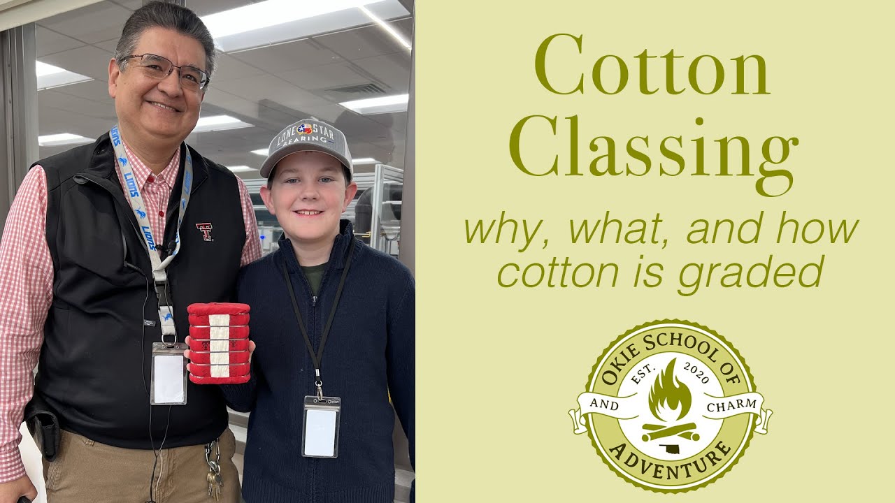 Cotton Classing - Discovering Why, What and How Cotton is Graded at the ...