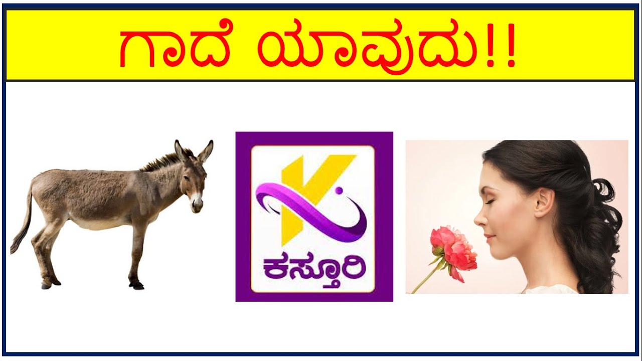 Kannada Gadegalu|Guess Kannada Proverbs|Learn With Fun|ಚಿತ್ರನೋಡಿ ಗಾದೆ ಹೇಳಿ |Time Pass|Part04 ...