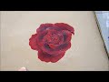 How To Paint a Rose Step by Step Instruction