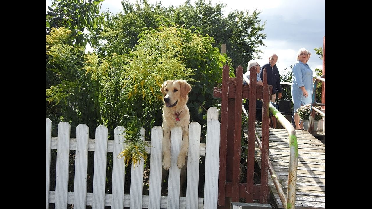 20640 - 20819, Diasshow 107 - YouTube