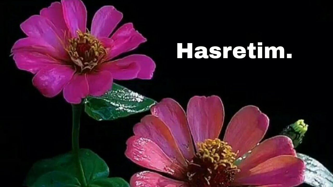 Hasretim. İnsanın içine işliyor. Çok duygusal bağlamalı fon müziği ...