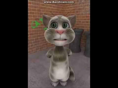 Konuşan Kedi My Talking Tom Kunut Duaları 1 ve 2 yi Okuyor