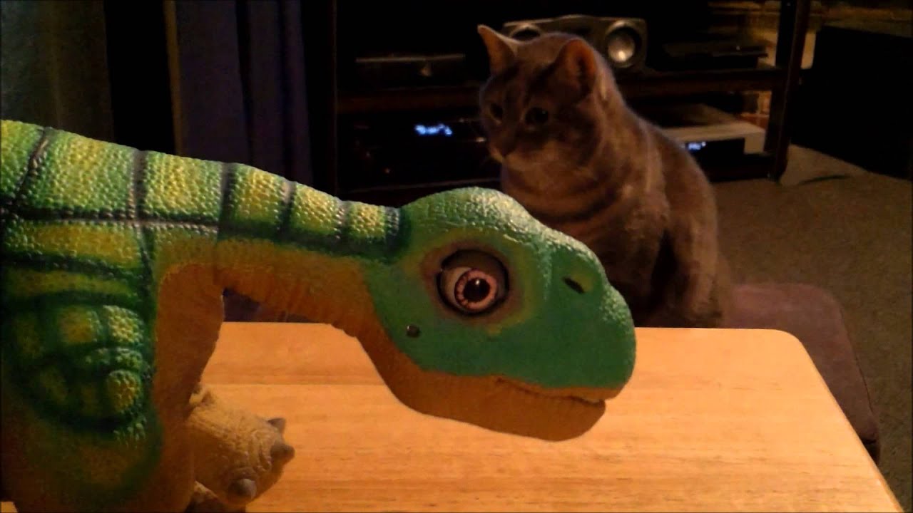 Pearl Just Stood Up for the First Time...and Meets Tony the Cat ...