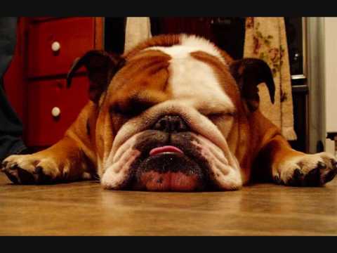 JukyZ's Banana Phone