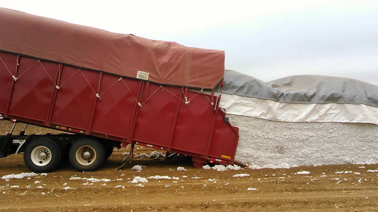 Module truck picking up cotton - YouTube
