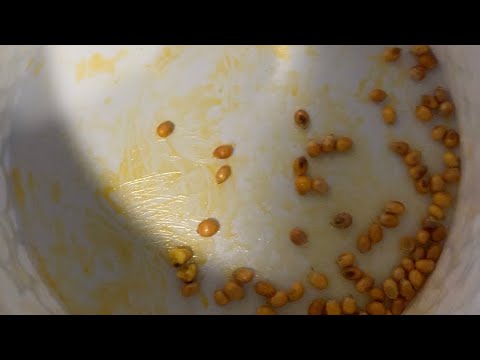 How to Cook Popcorn With No Kernels Leftover - YouTube