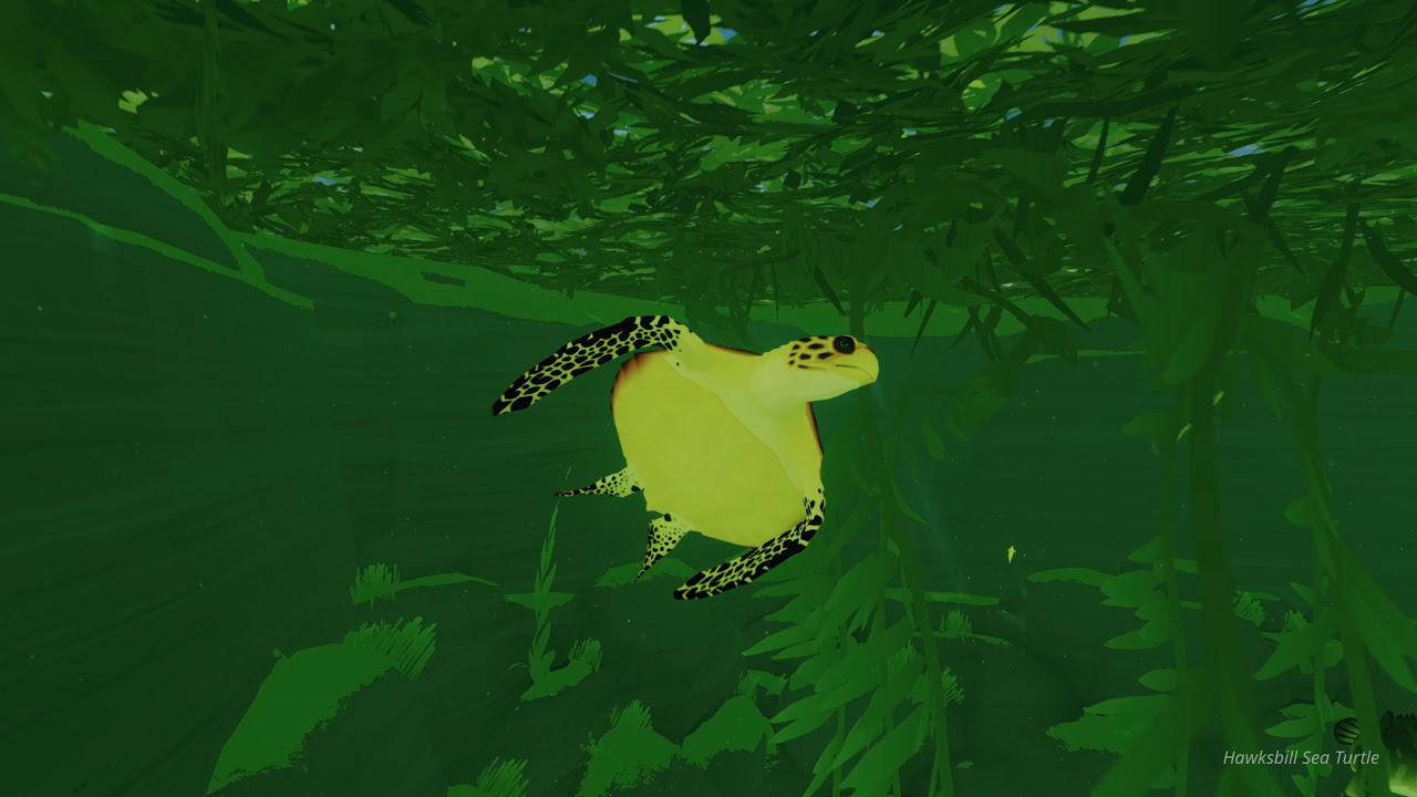 ABZÛ PS5 4K gameplay only - YouTube