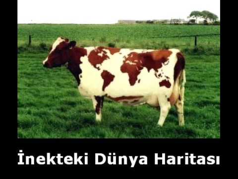 İbretlik Görüntüler