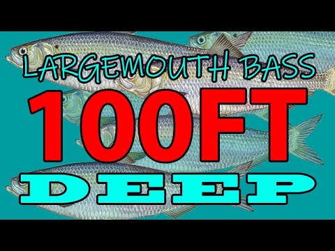 Catch Largemouth in 100ft of Water! Suspended Bass Fish - YouTube