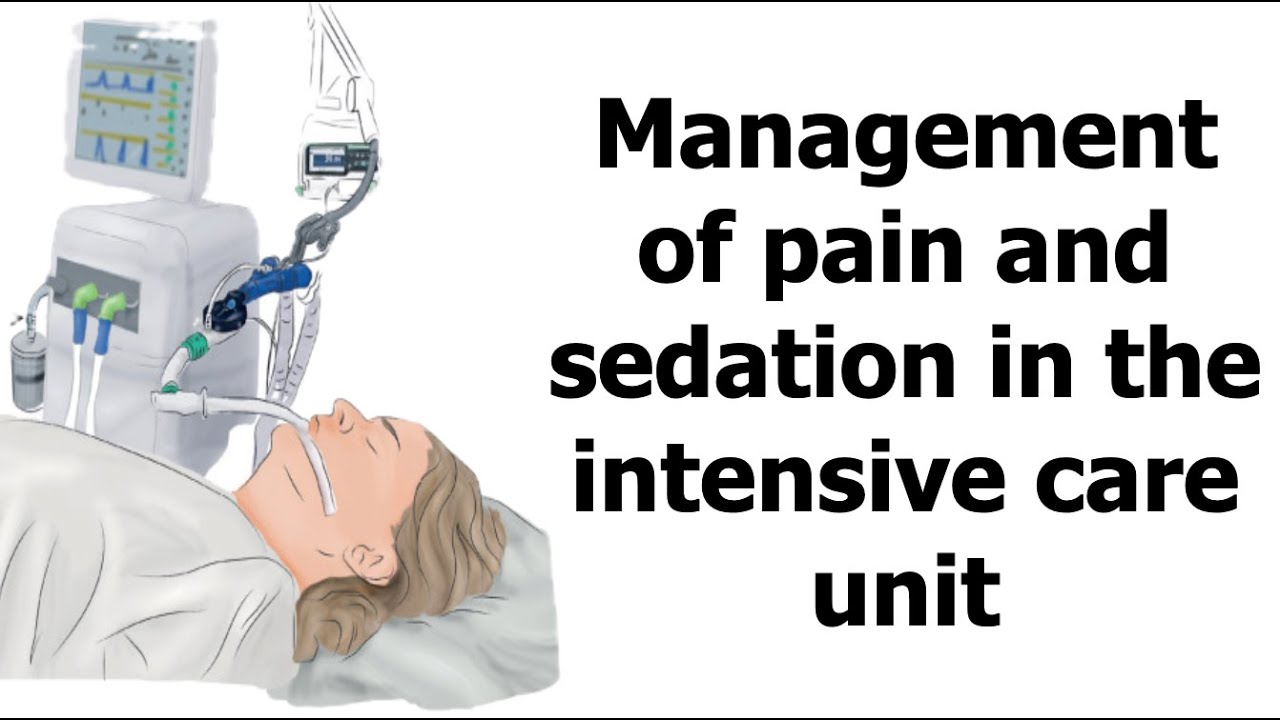 Management of pain and sedation in the intensive care unit - YouTube