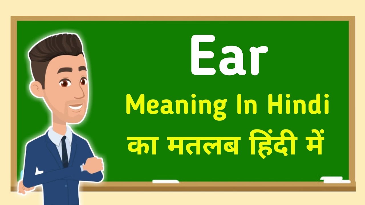 Ear meaning in hindi || Ear का मतलब हिंदी में - YouTube