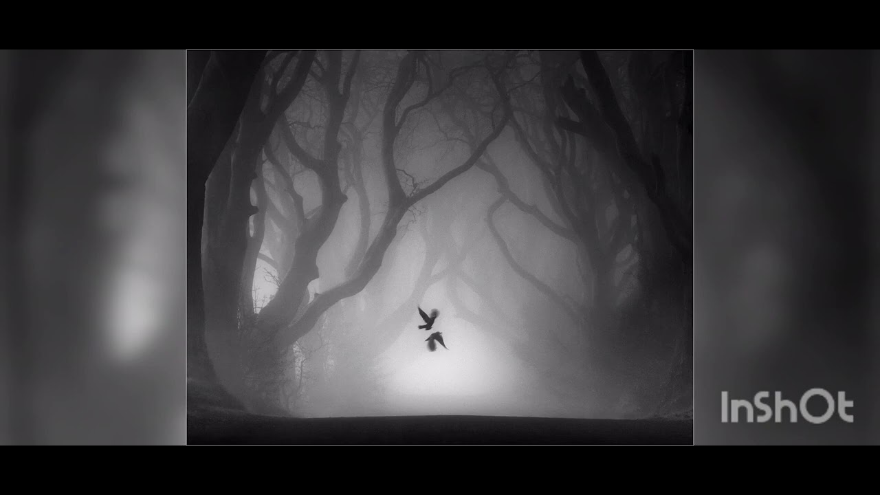 MikeyDa1st-"Reece_Kayz_Type_Beat"_Dark_Trial.mp4 - YouTube