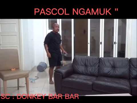pascol mabar sma gpx # shorts # pascol #gpx