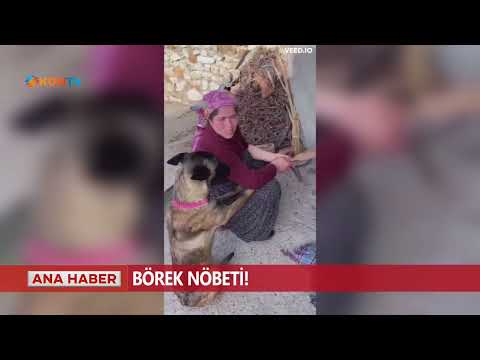 Korktunuz mu?