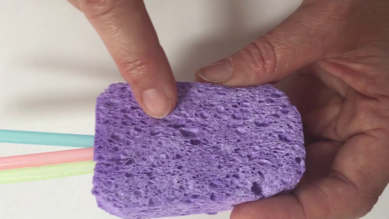 Plèvres et cavités pleurales - YouTube