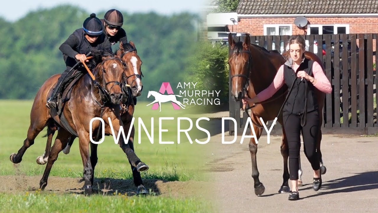 RACEHORSE OWNERS DAY & HORSE PARADE 2022 | Amy Murphy Racing - YouTube