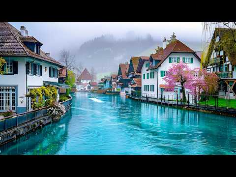 Friedlicher Regenspaziergang in Thun 🌧️ Schweiz 4K 🇨🇭