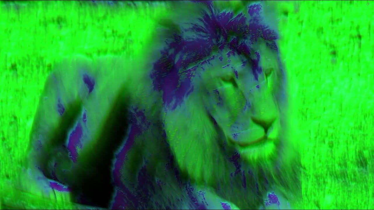 Lion's Vibe - Bass Mix (Dubstep, Riddim, Drum & Bass, Hybrid Trap, Hip ...