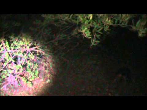 ΕΝΗΜ ΒΙΝΤ ΕΚΠΑΙΔ ΓΙΟΥΡΑ ΓΚΕΚΑ ΤΕΛΗ - YouTube