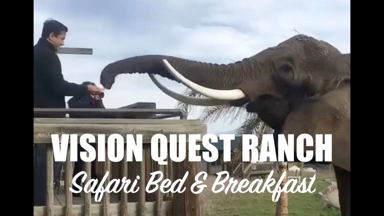 Vision Quest Ranch, California #visionquest #visitmonterey #montereyzoo ...
