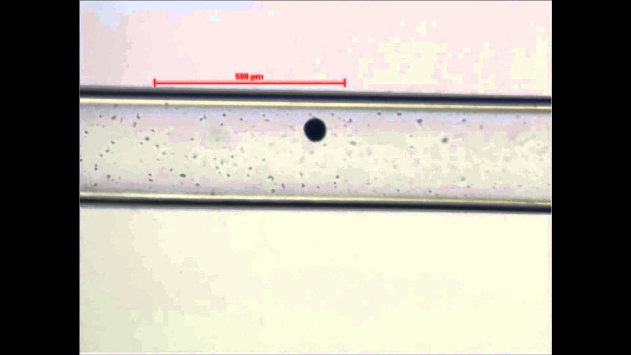 Acoustic MB Trap - Cluster Manipulation - YouTube