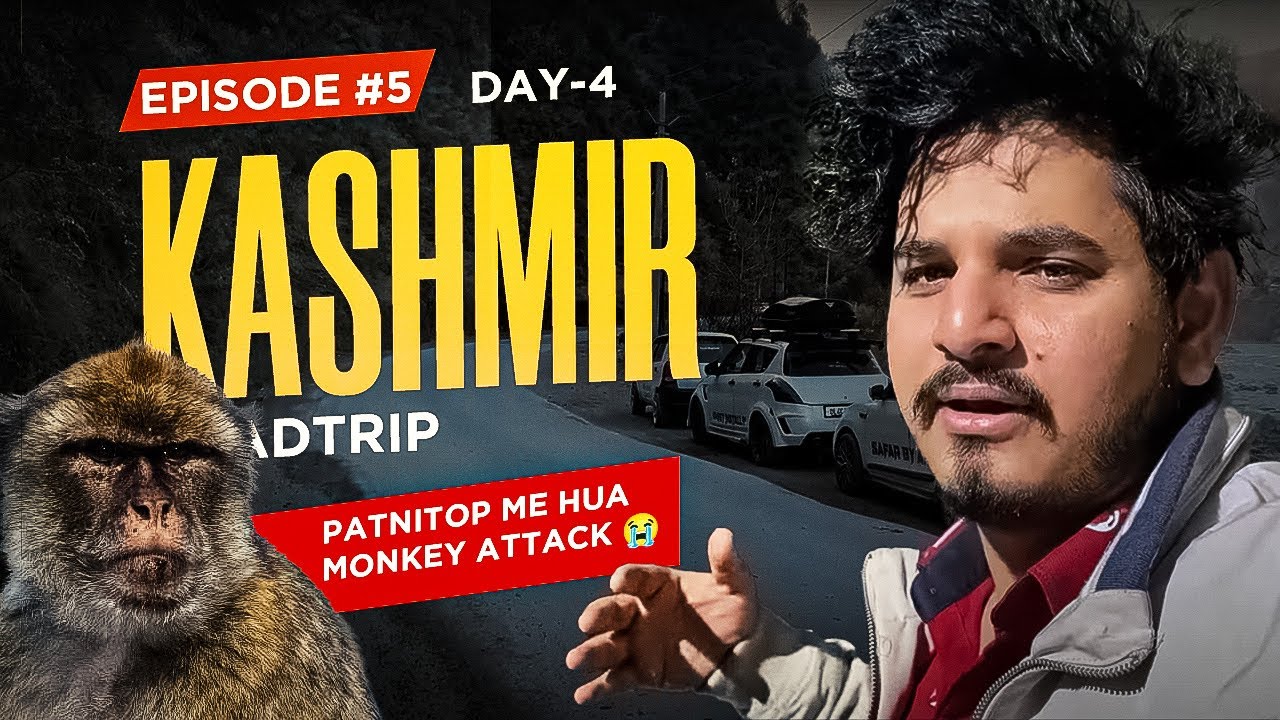 EP-5 KASHMIR 2023 🔥 PATNITOP ME HUA MONKEY ATTACK 😭 - YouTube