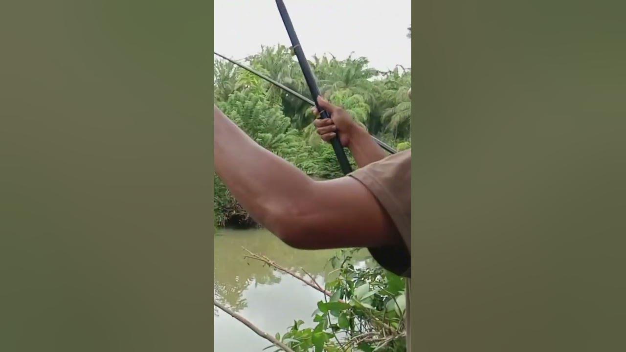 Otot tangan auto besar,mancing teknik pecut #fishing #mancing - YouTube