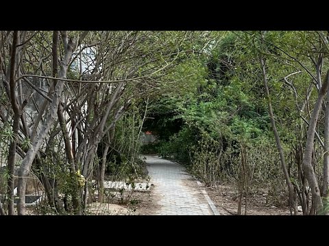 Akash Rawal Jaitpur is live - YouTube