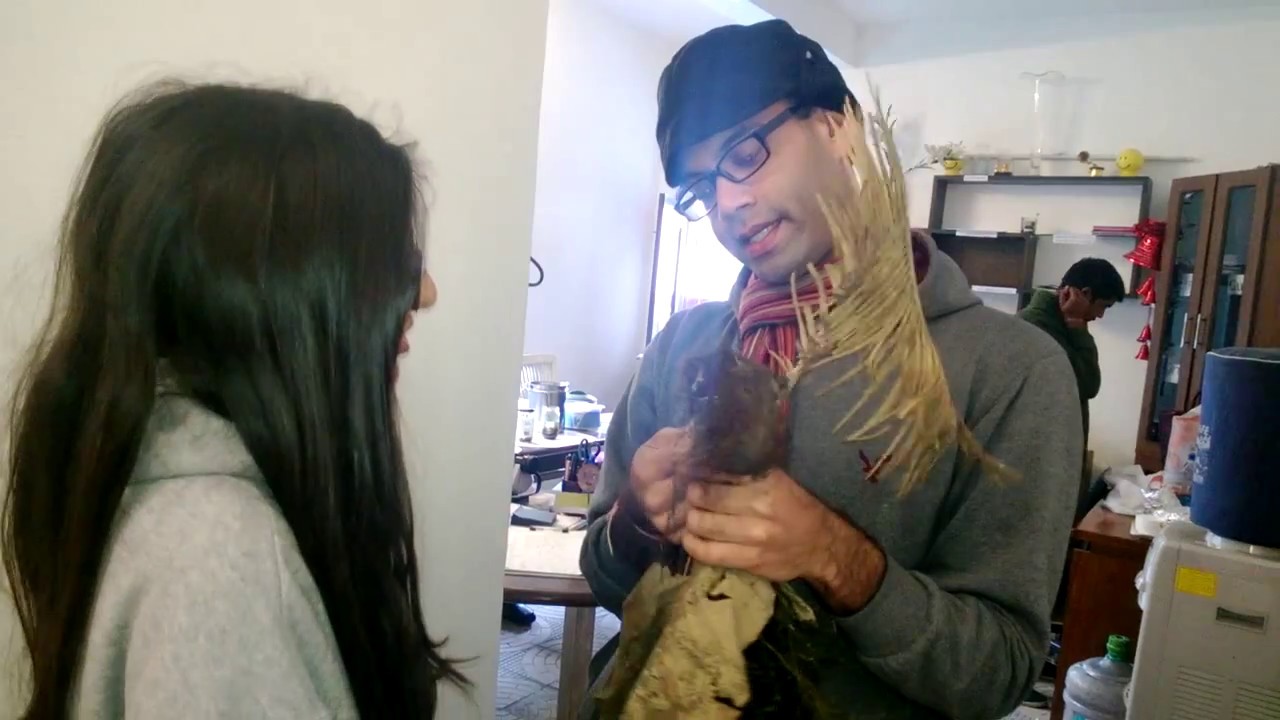 Theatre Lab Impromptu with Anant Dayal - YouTube