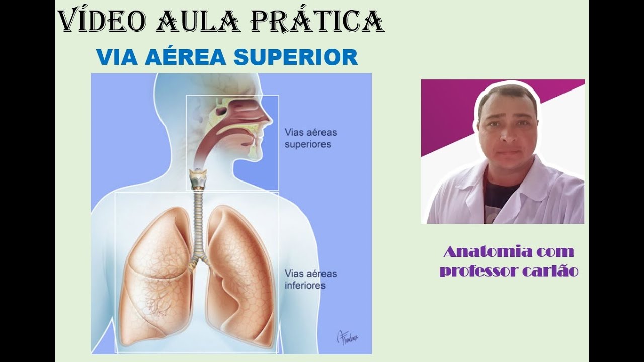 Anatomia Via Aérea Superior - RETOEDU