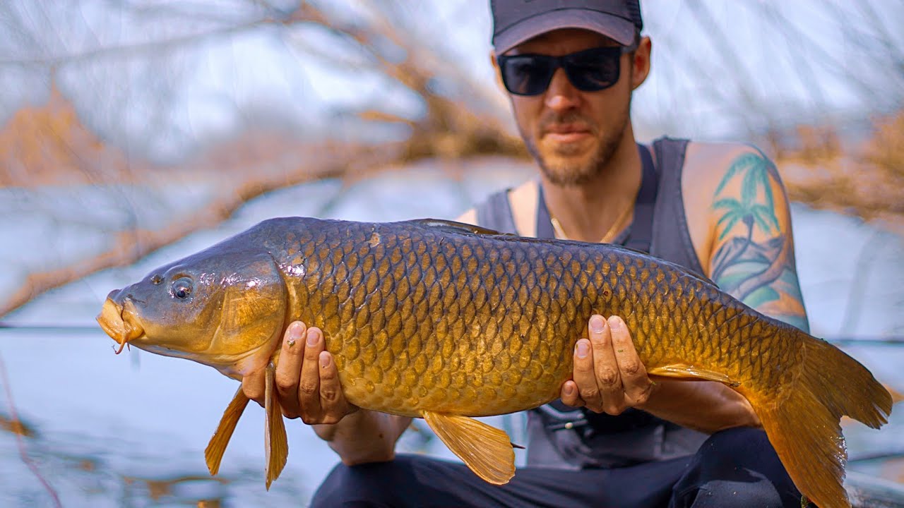 Spring Carp Fishing Action - Hot bite - Bait and Rig Breakdown - YouTube