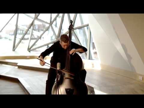 Giovanni Bottesini - Elegy no. 1 for Double Bass and Piano - YouTube