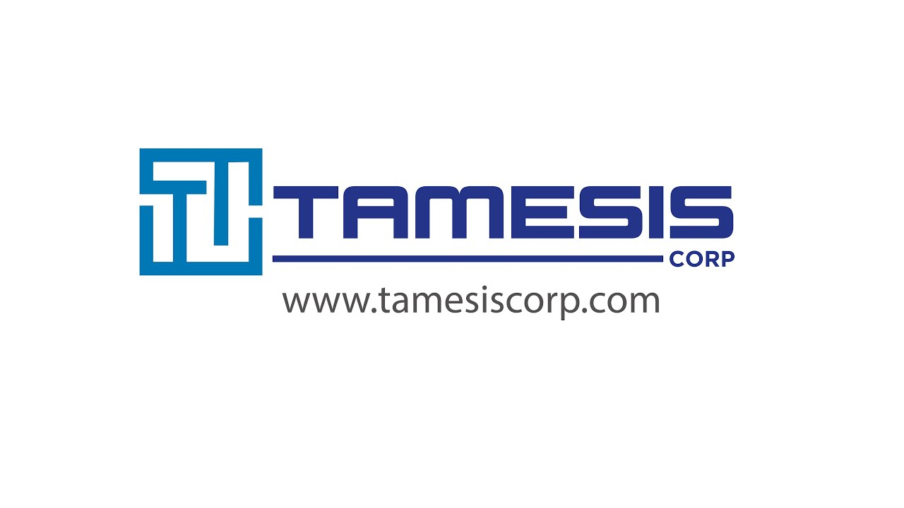 Tamesis Corporate Services - YouTube