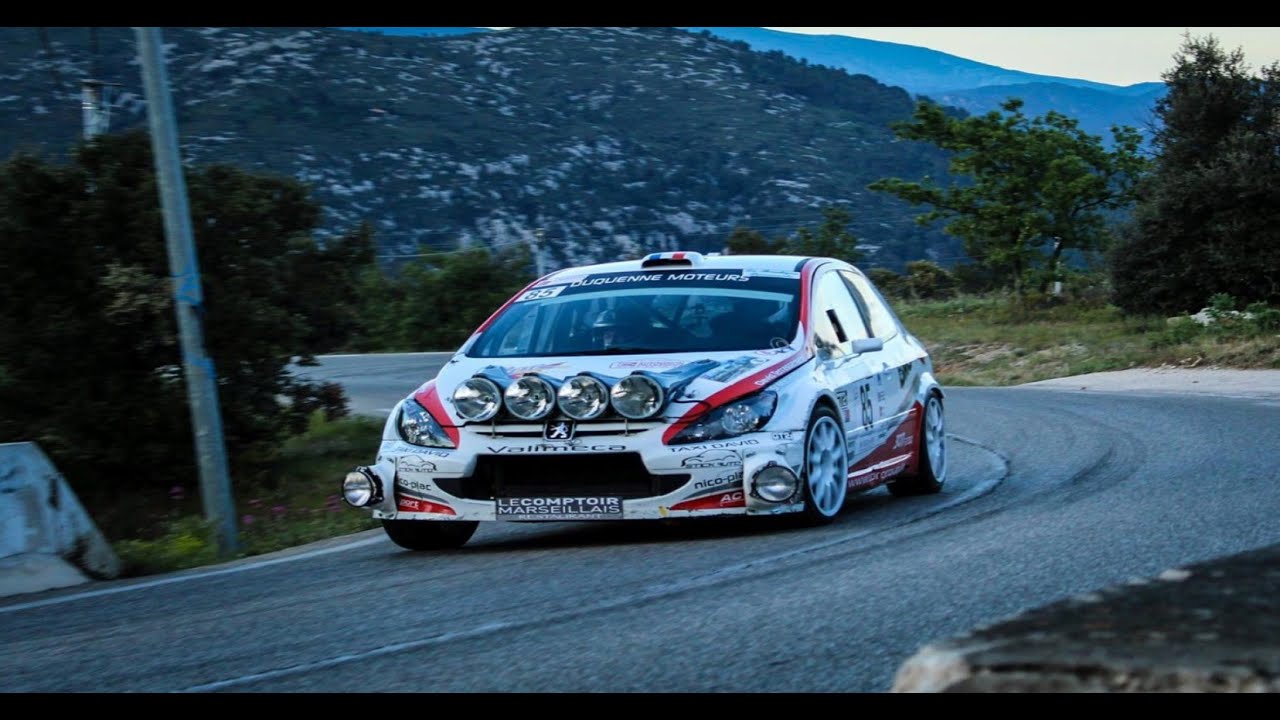 Amazing Peugeot 307 Rally / Pure Sound - YouTube