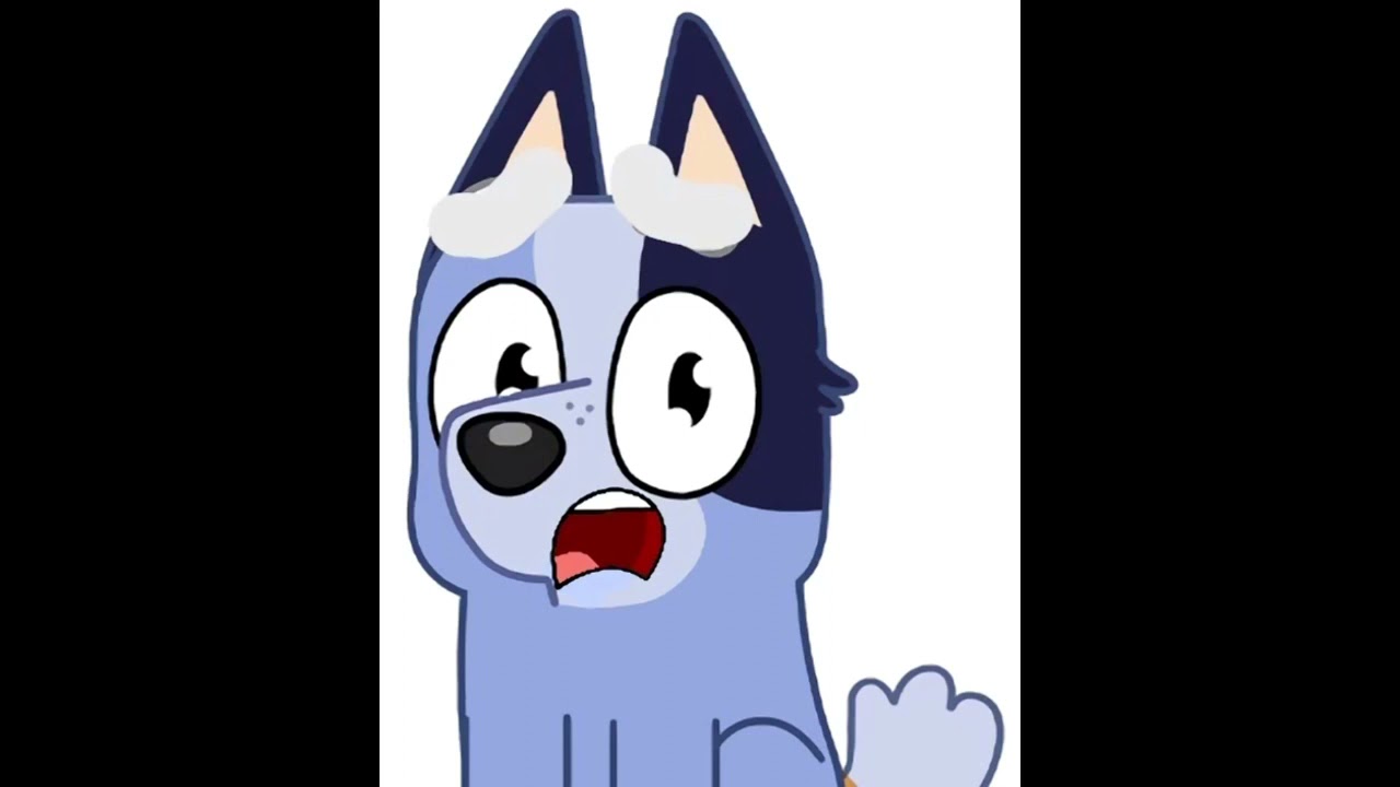 Socks crying - YouTube