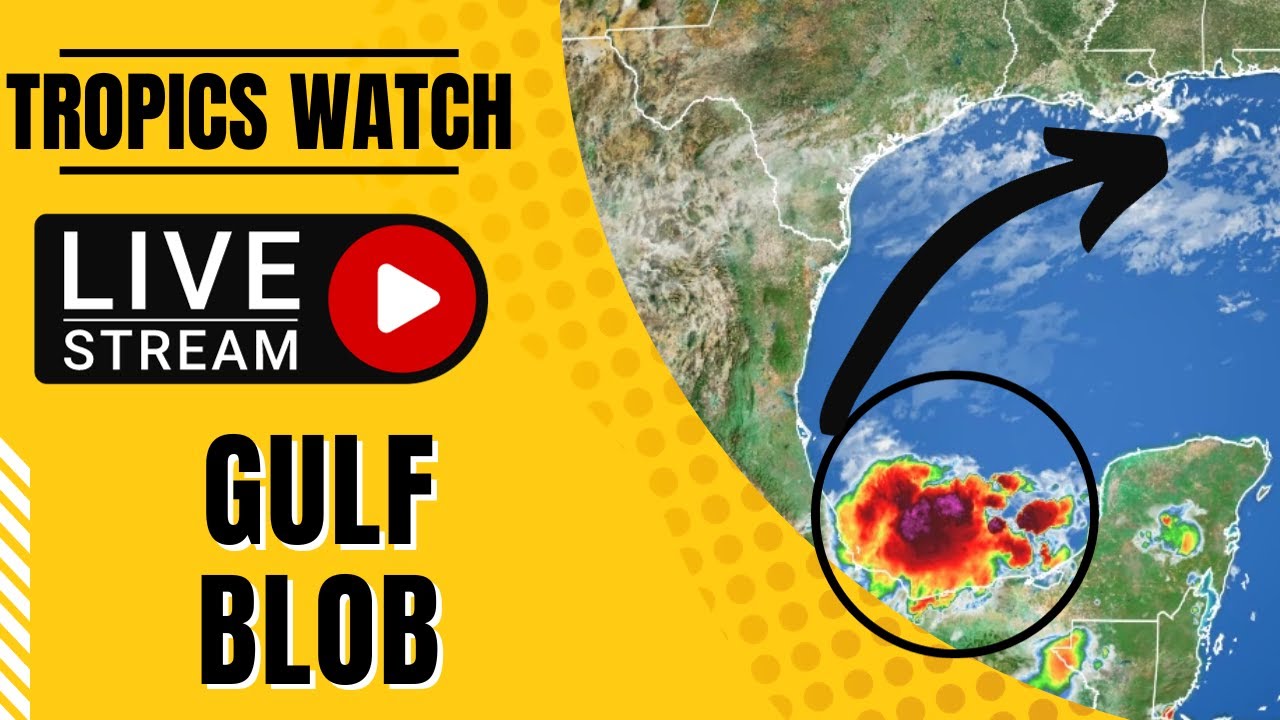 Tropics Watch LIVE: Gulf Of Mexico Disturbance To Bring Heavy Rain To ...