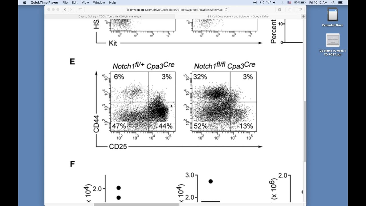 Flow Cytometry - YouTube