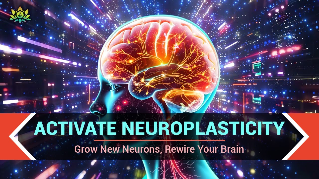 Activate Neuroplasticity & Neurogenesis Power - Grow New Neurons ...